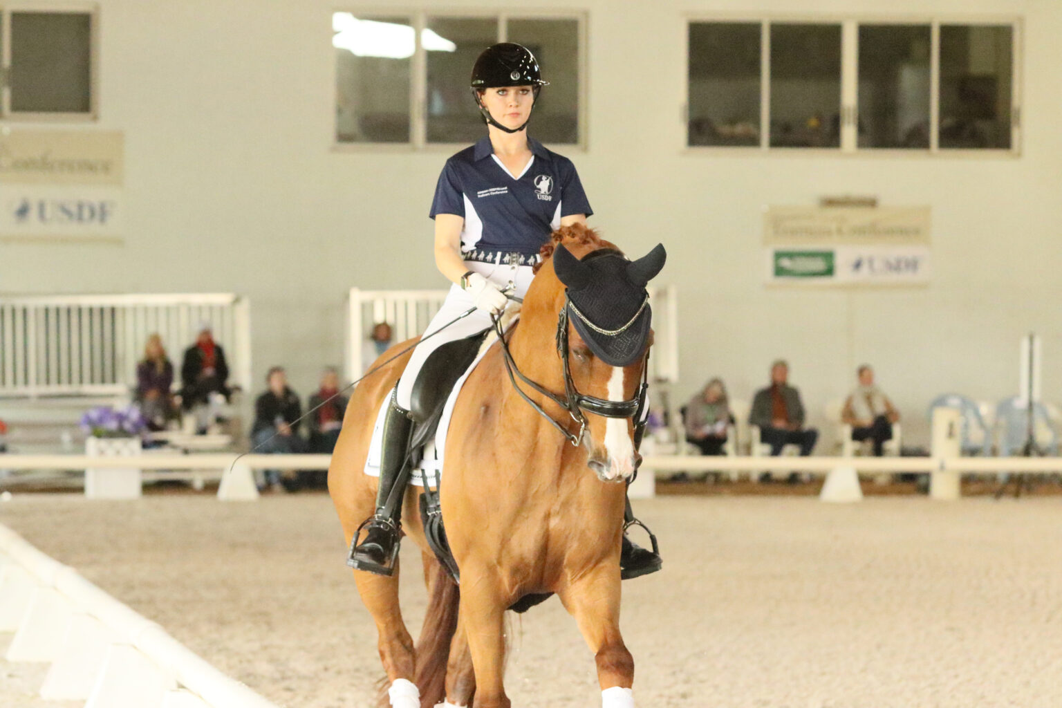 Behind the Scenes at the 2026 USDF Trainers Conference - Dressage Today